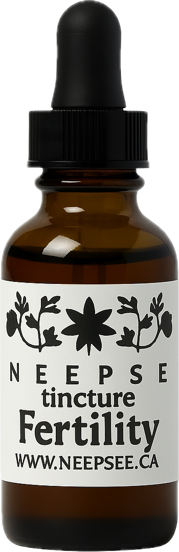 Fertility Tincture – NeepSee Herbs Teas Traditional Medicines