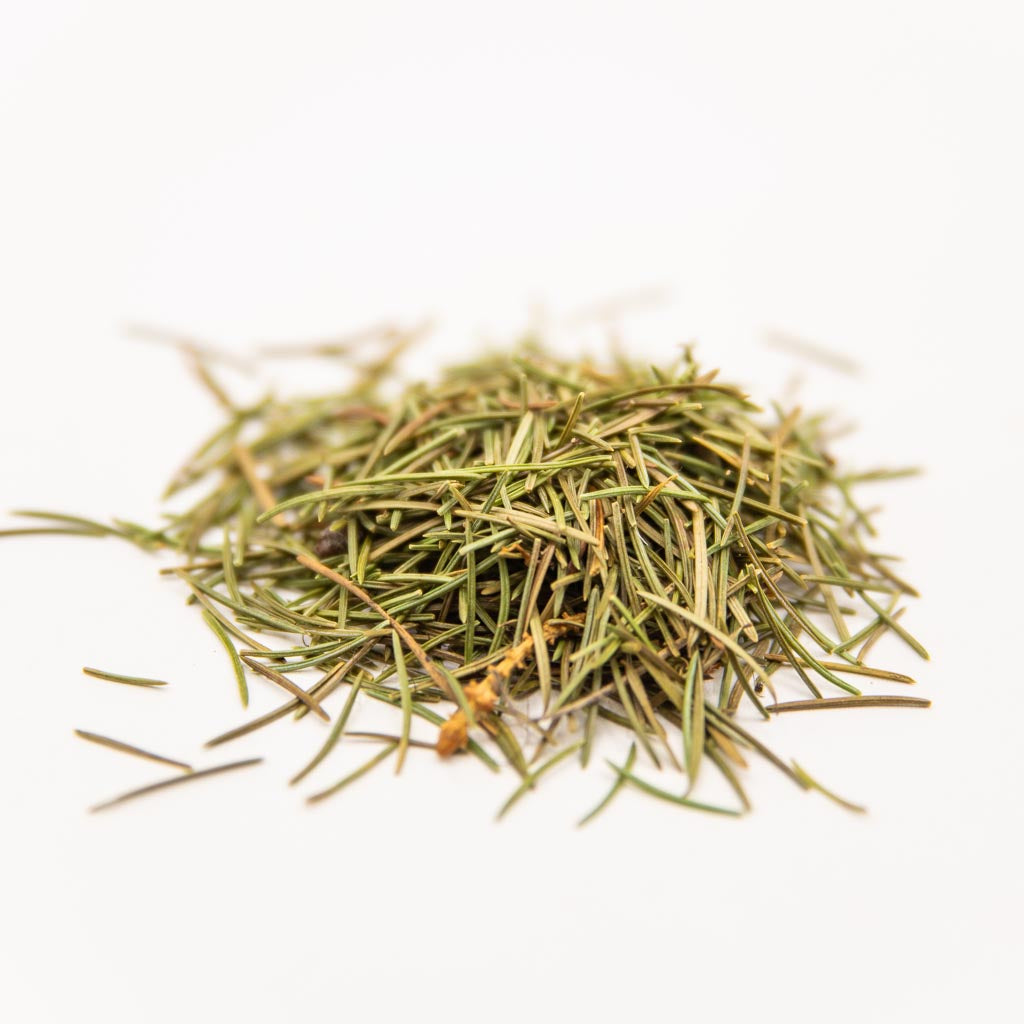 Sweet Pine - NeepSee - Herbs, Teas, and Traditional Medicines ...